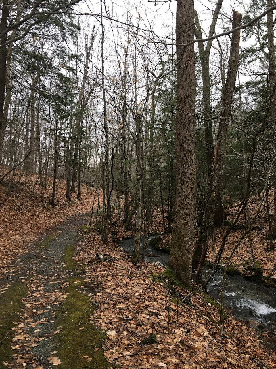 Taconic Crest Trail (Berkshires hiking) — Solo Female Wanderer