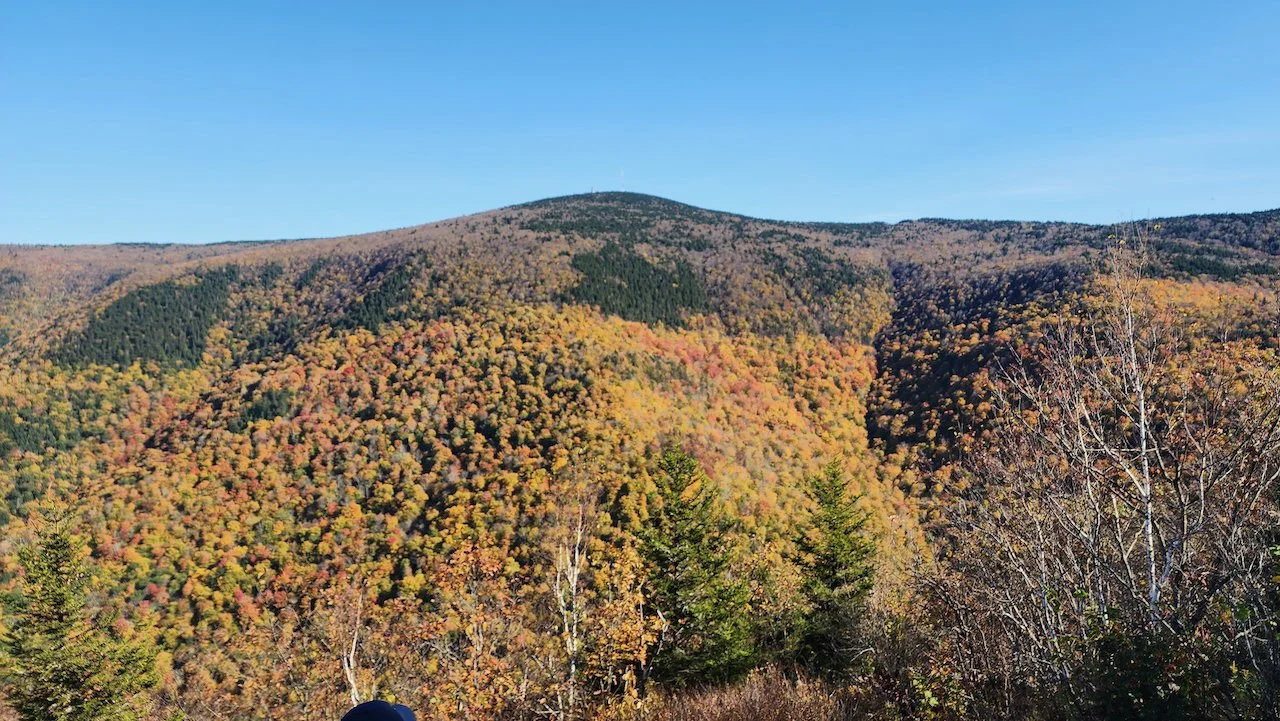 Stoney Ledge (Berkshires hiking) — Solo Female Wanderer