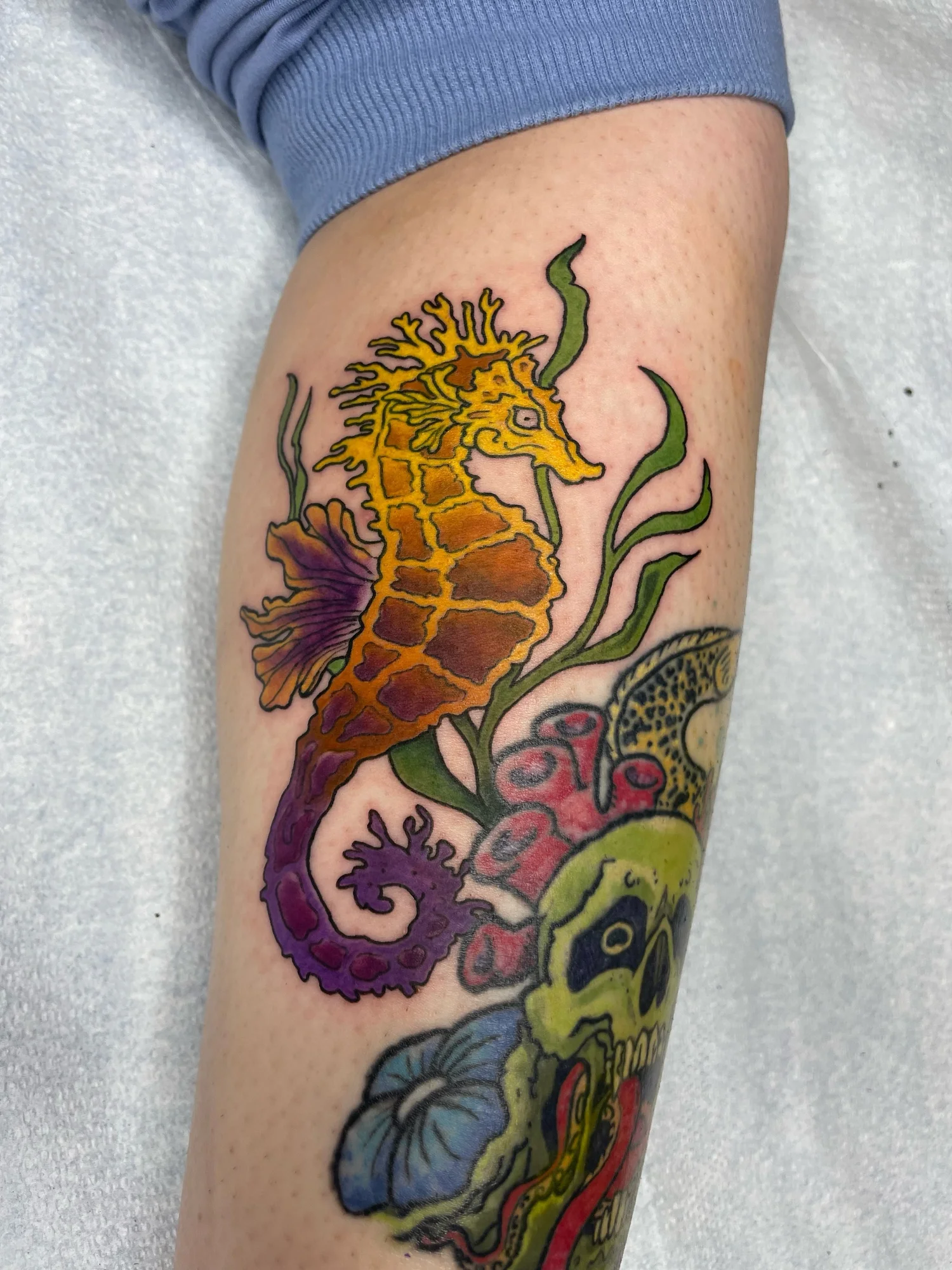 Abby — Visual Expressions