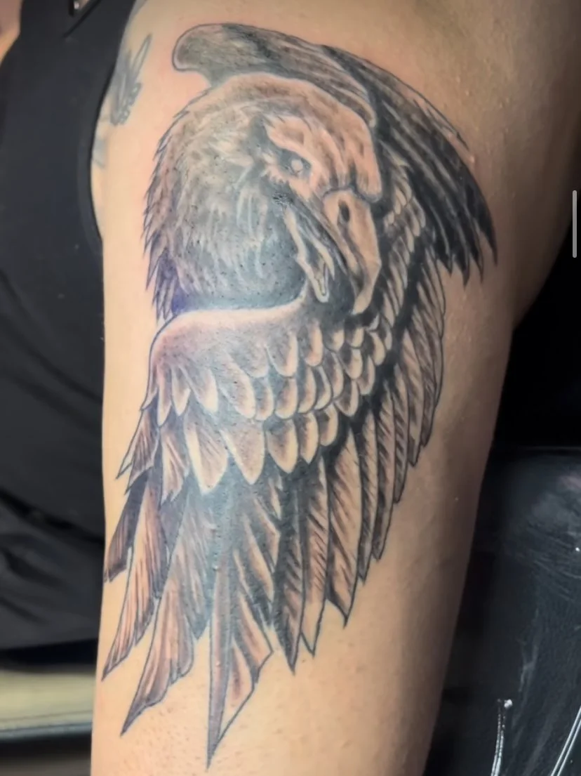 Abby — Visual Expressions