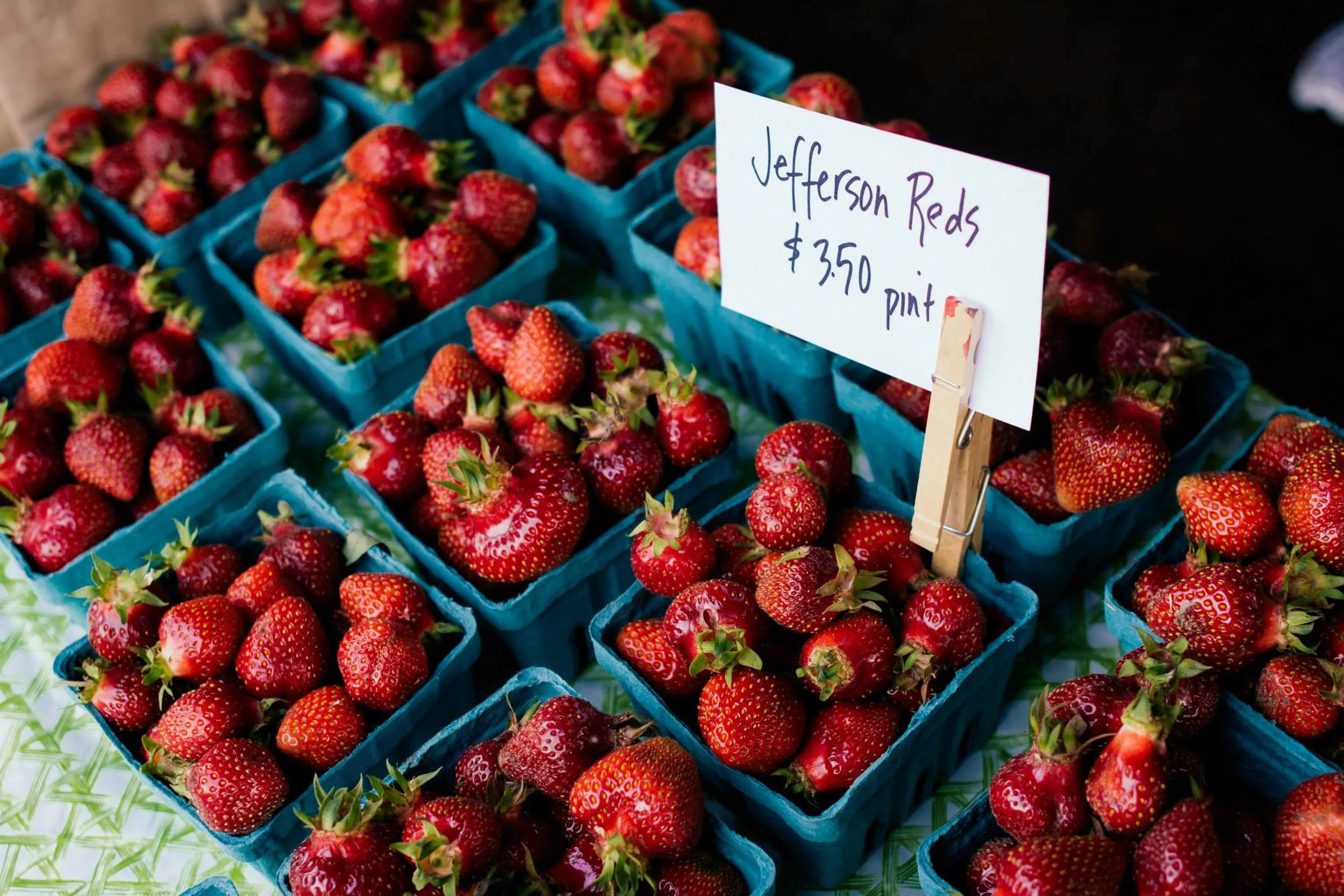 Clark Conservation District