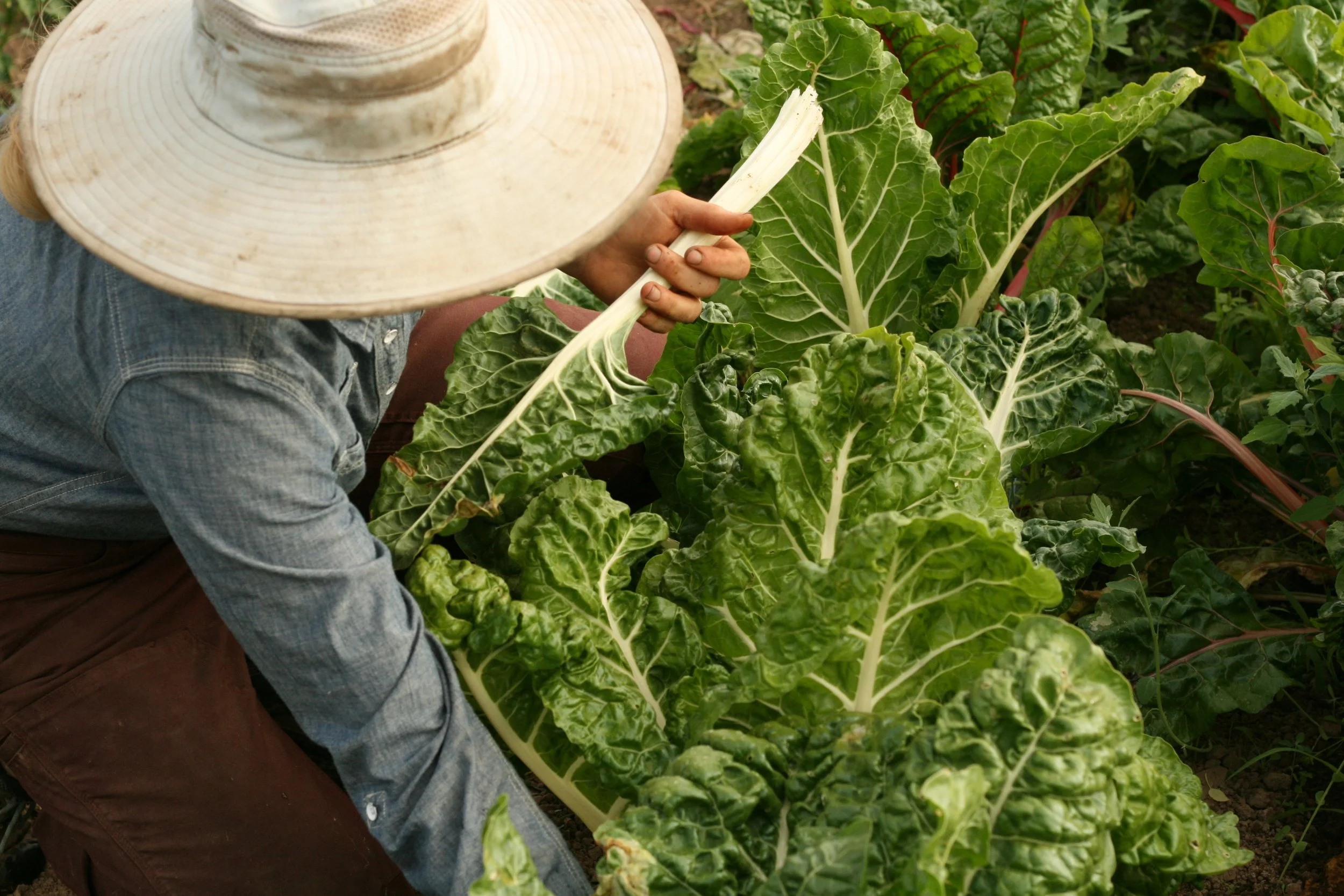 Clark Conservation District