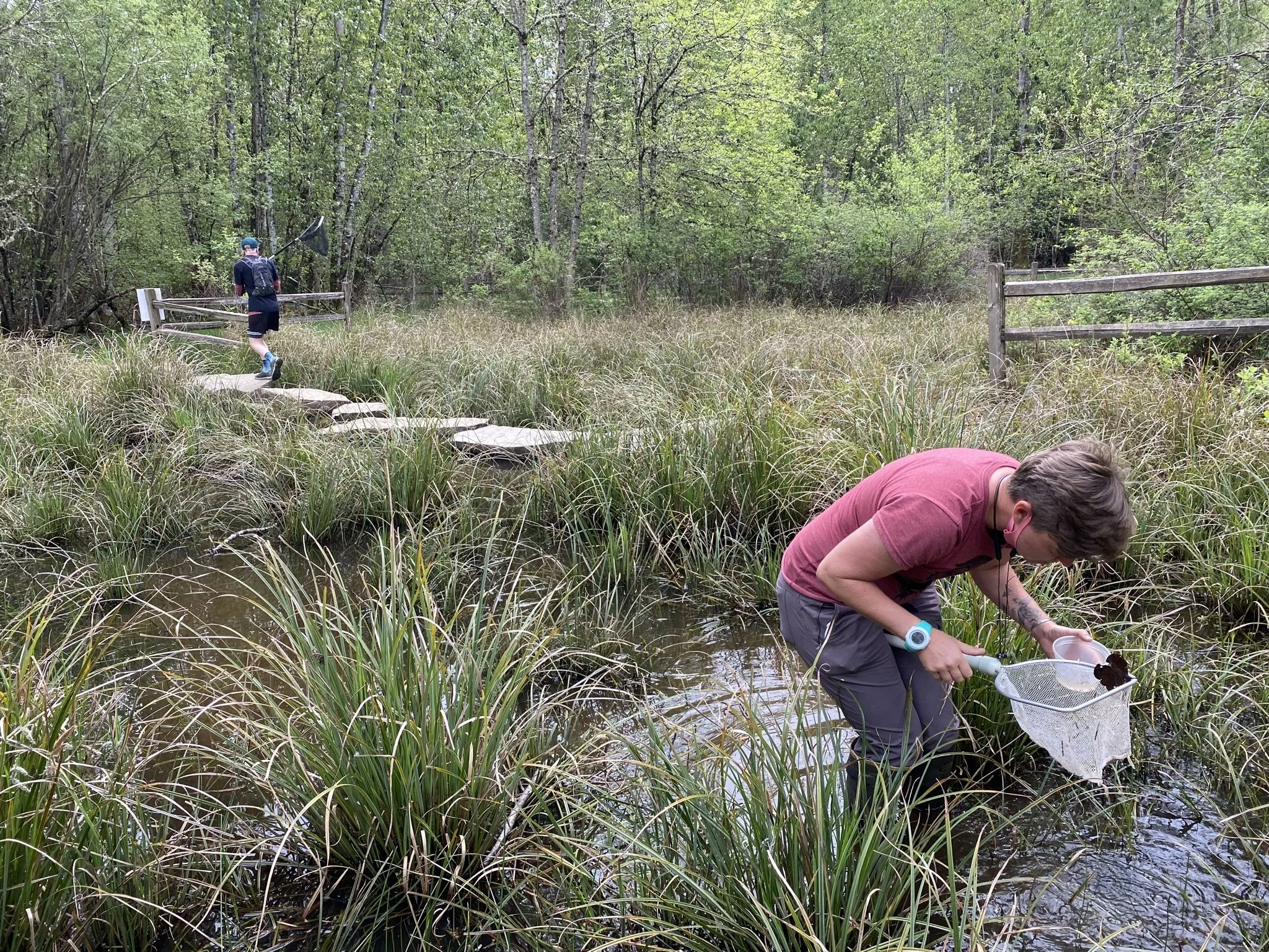 All Programs & Services — Clark Conservation District