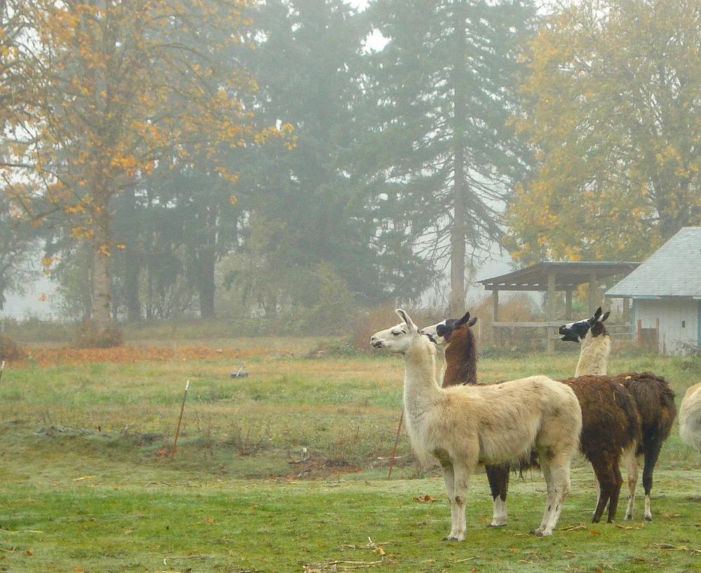 Clark Conservation District