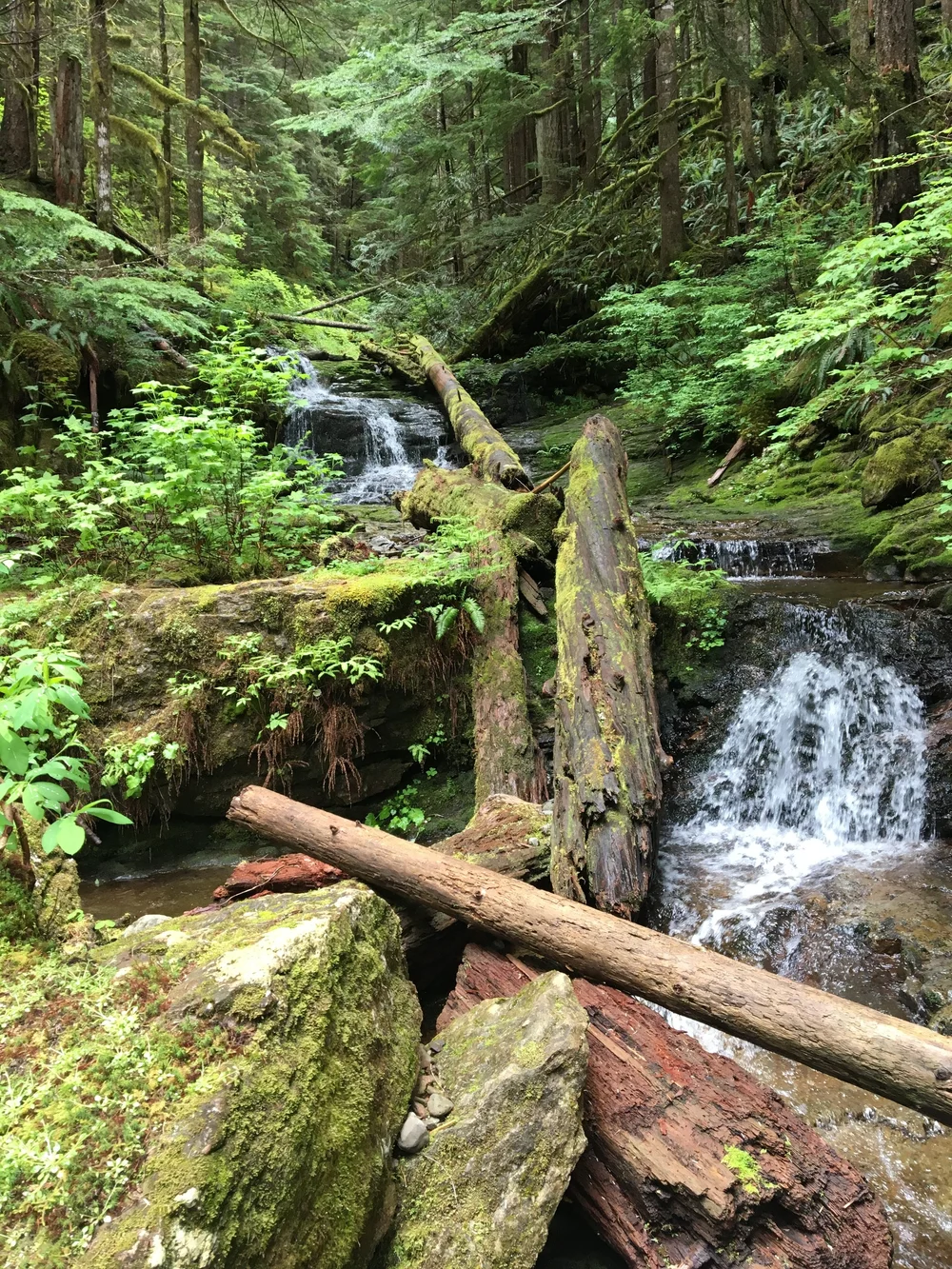 Clark Conservation District