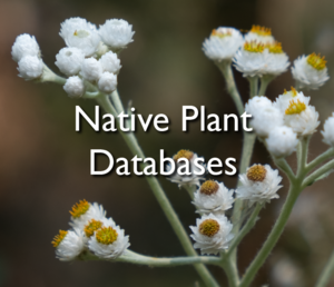 Native Plant Database