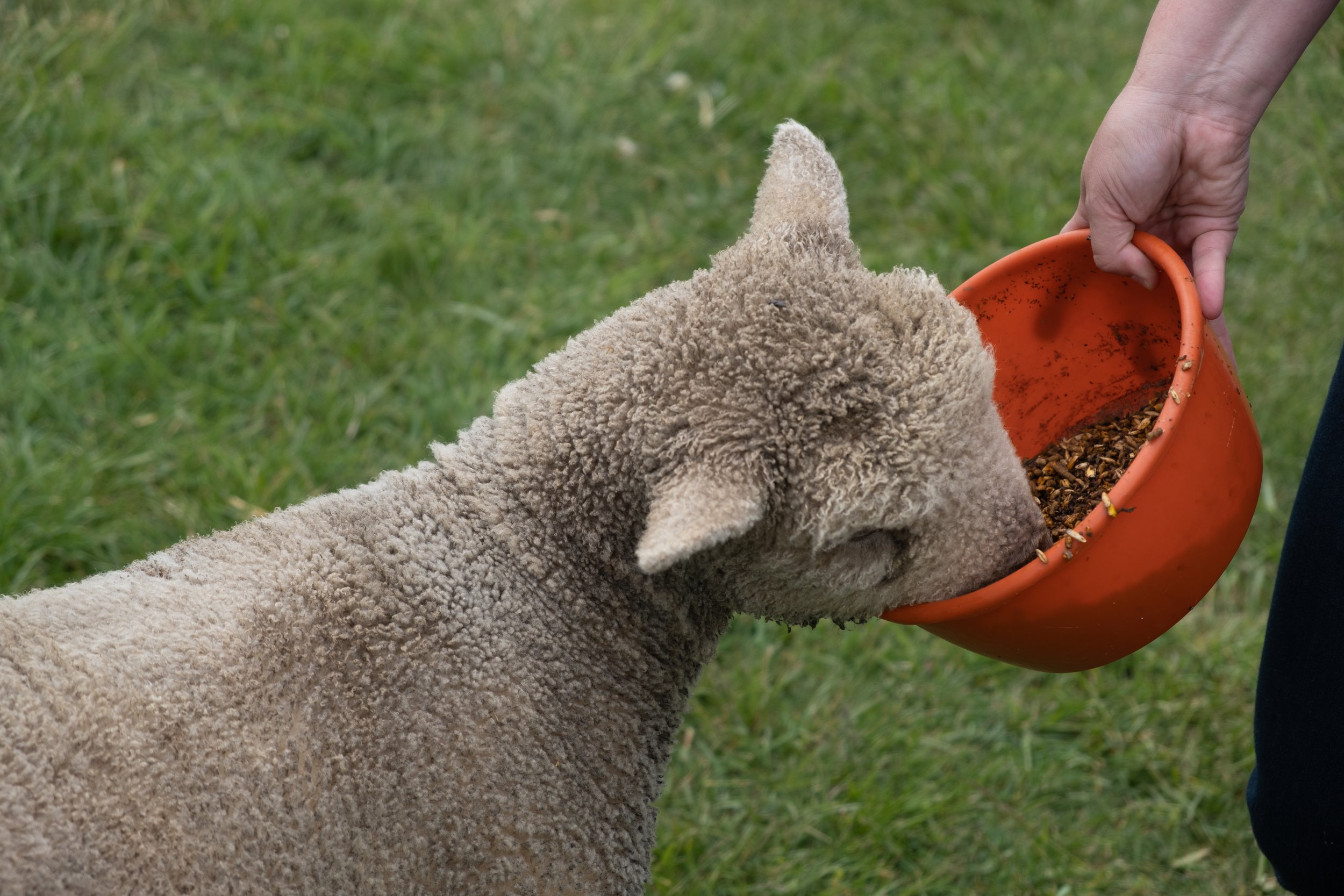 Farm & Livestock — Clark Conservation District