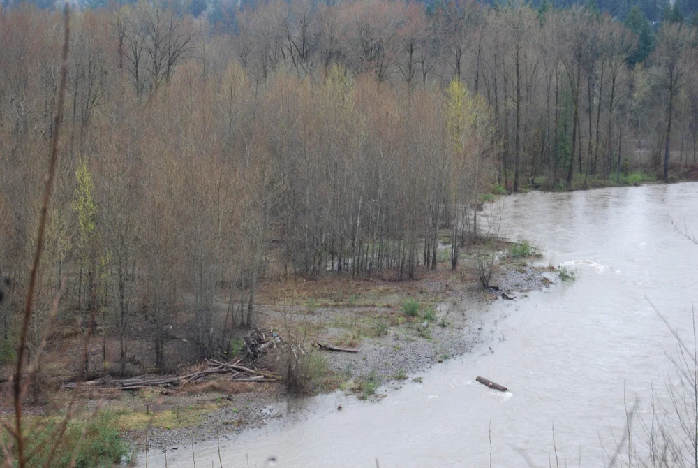 Watershed Stewardship — Clark Conservation District