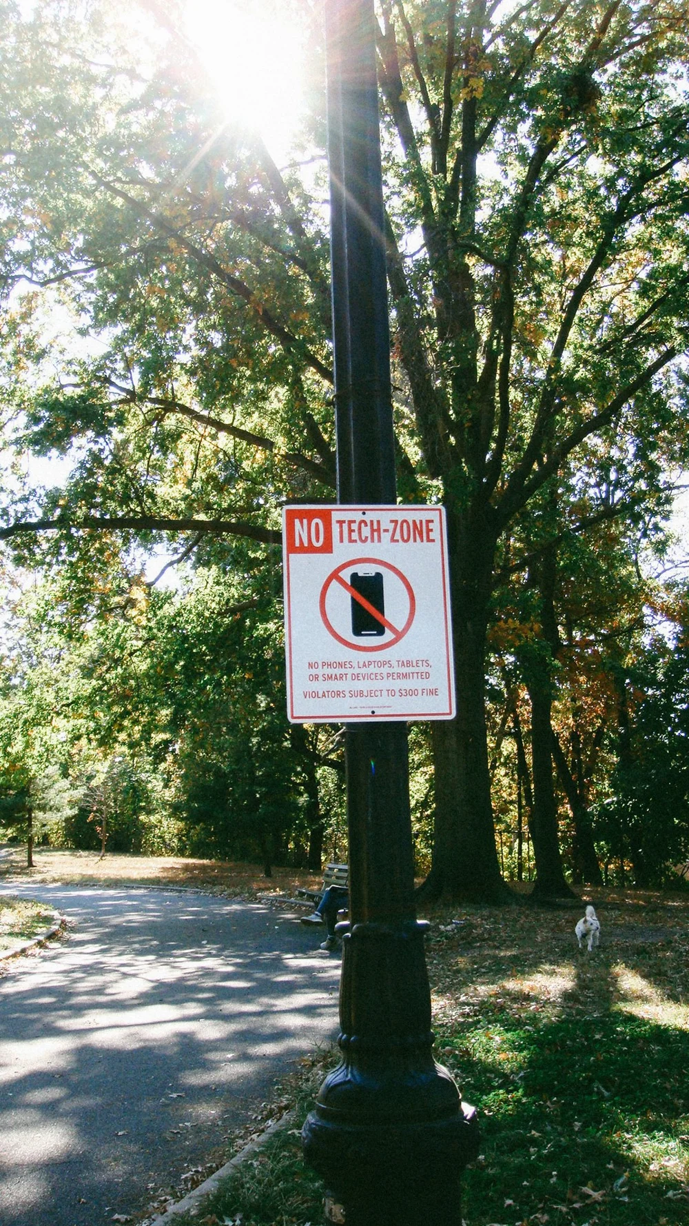 No Tech Zone — Cash Studios