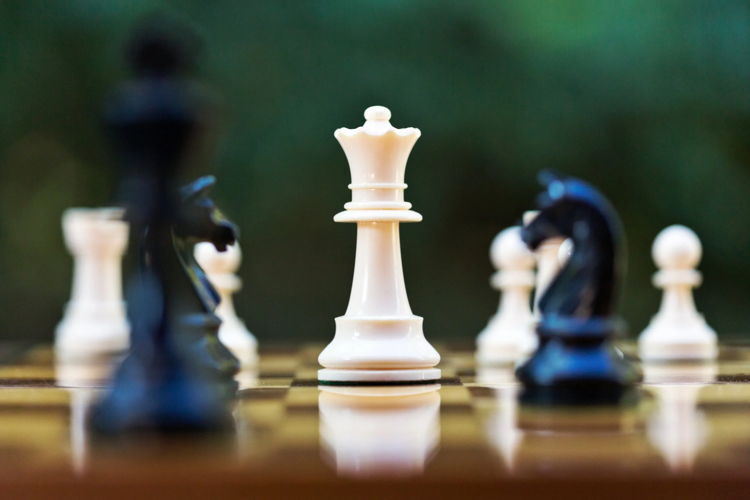 Garden Chess Set — Logan Center
