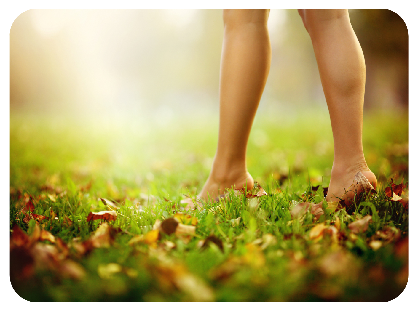 The many benefits of walking — Vivalissimo