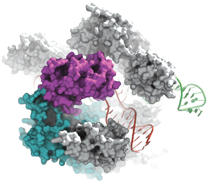 Publications — Gao Lab