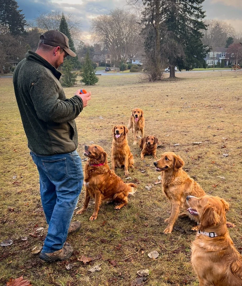 About Us — Retriever Buddies Goldens