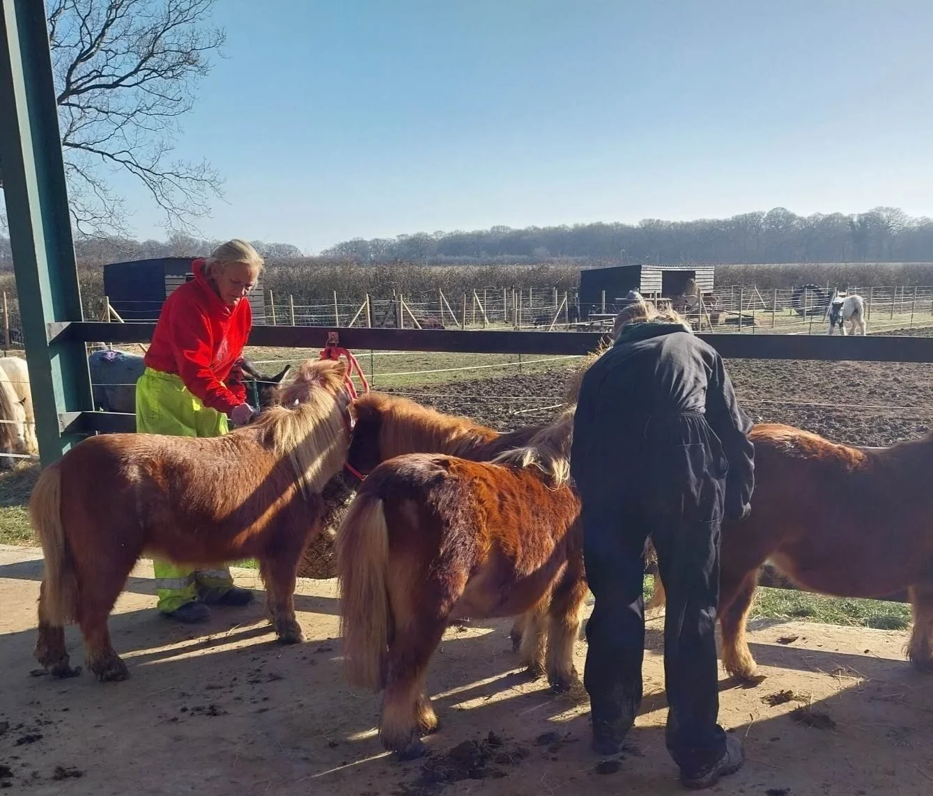 Testimonials — Sandys farm