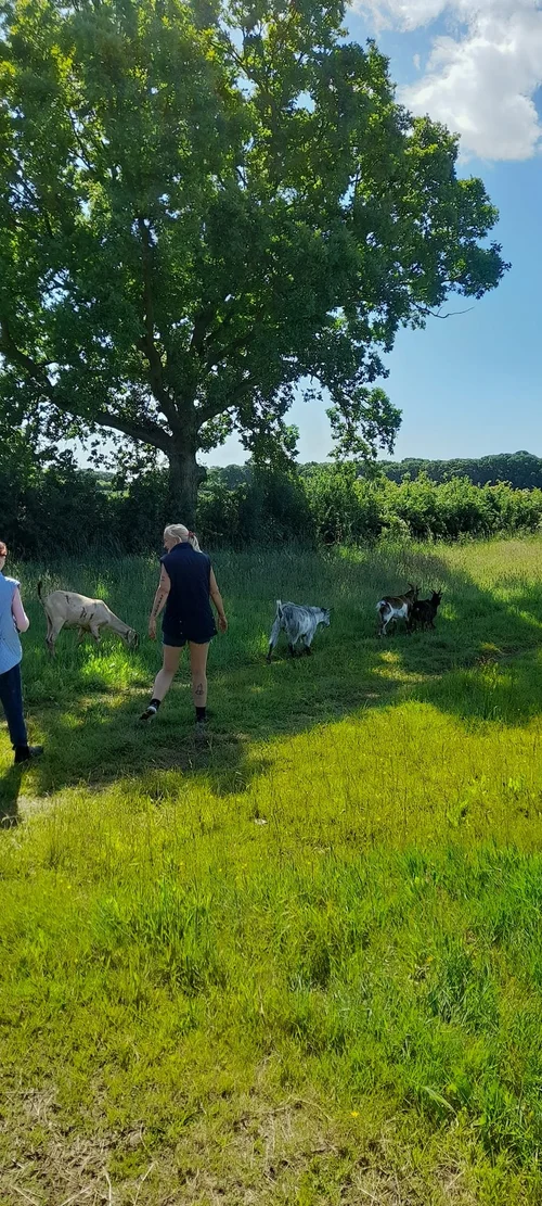 About — Sandys farm