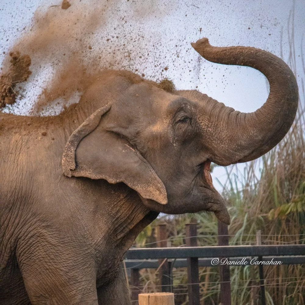 Your ethical travel itinerary to nepal — The Call to Conserve