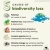 44% of the Planet at Risk in Biodiversity Crisis [Urgent Plea for ...