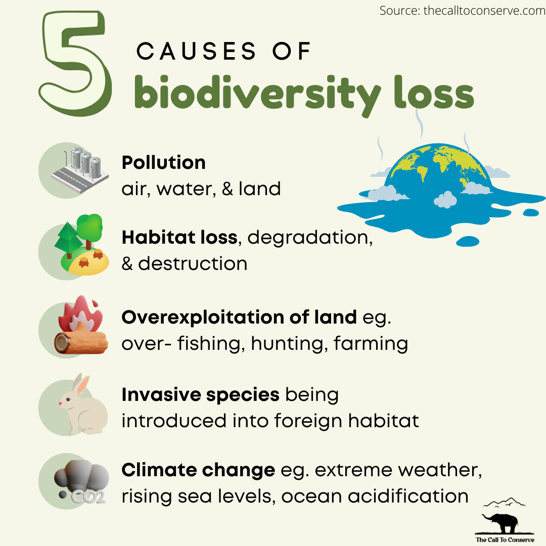 44% of the Planet at Risk in Biodiversity Crisis [Urgent Plea for ...