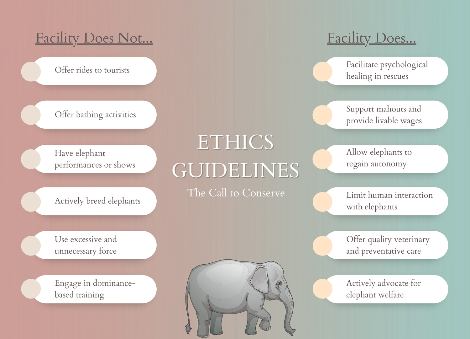 Ethical Elephant Facilities in Asia — The Call to Conserve