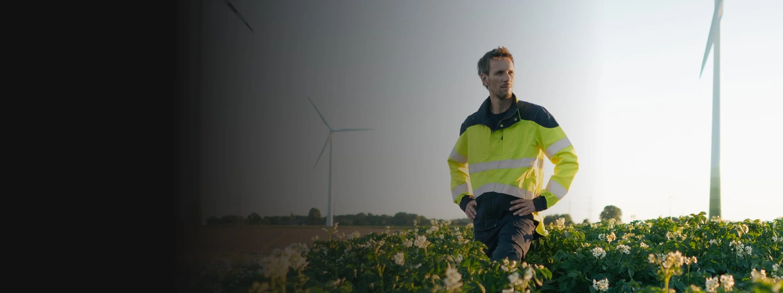 Prospero AG | DetectX | Award Winning AI Platform