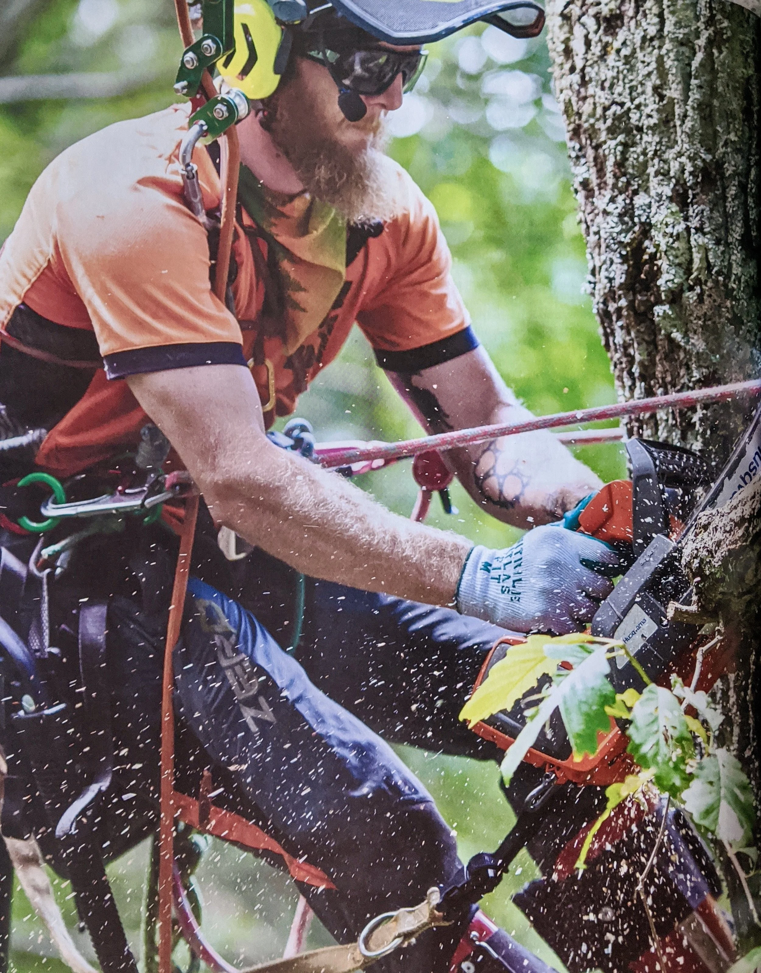 About Us — Thrive Tree Care