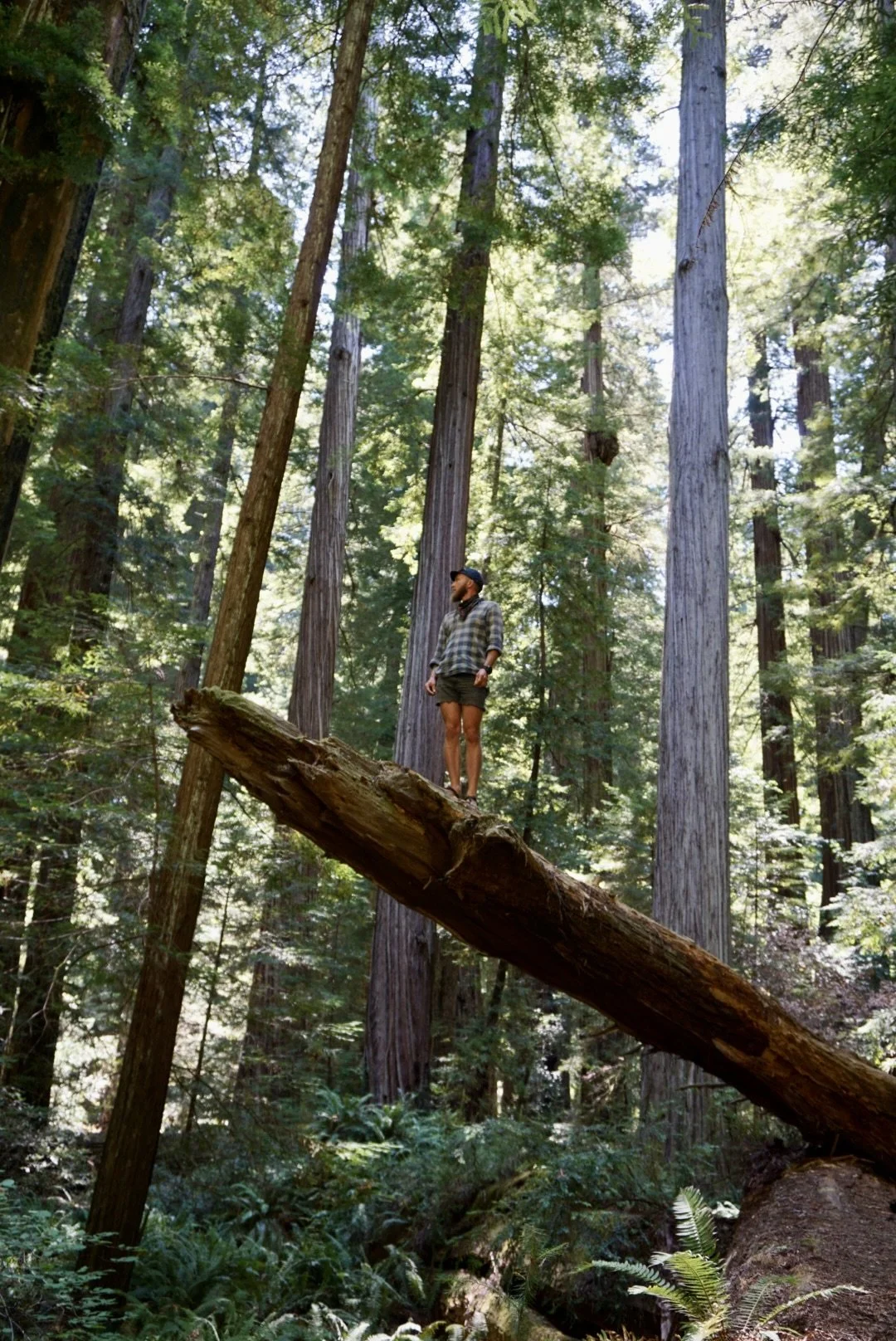 About Us — Thrive Tree Care