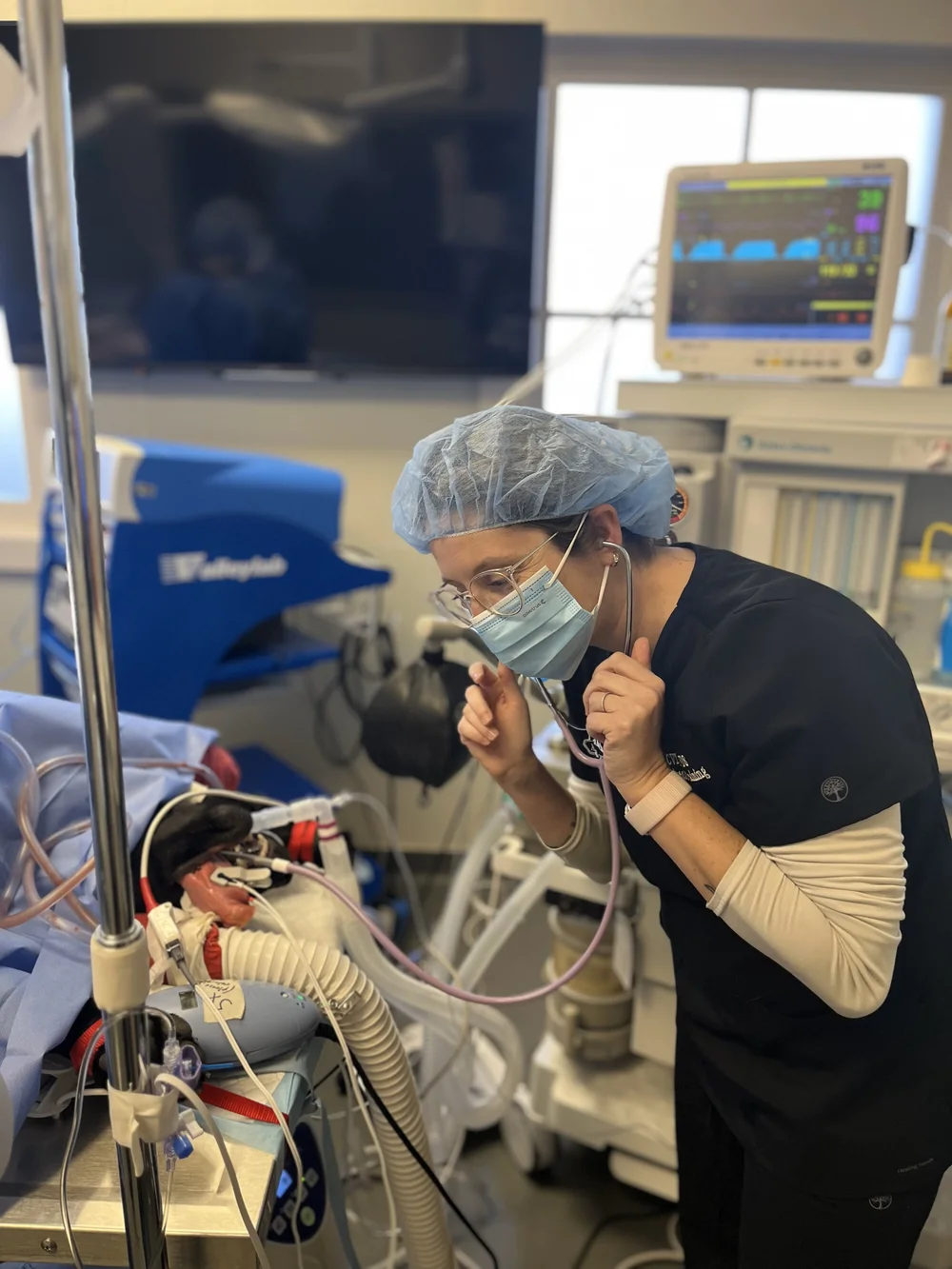 VETERINARY ANESTHESIA NERDS