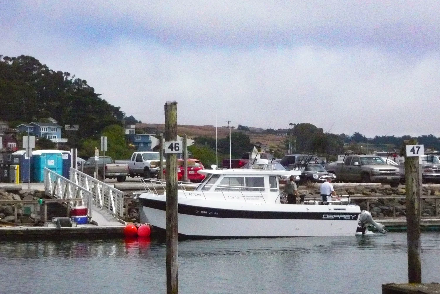 Bodega Bay Whale Watching