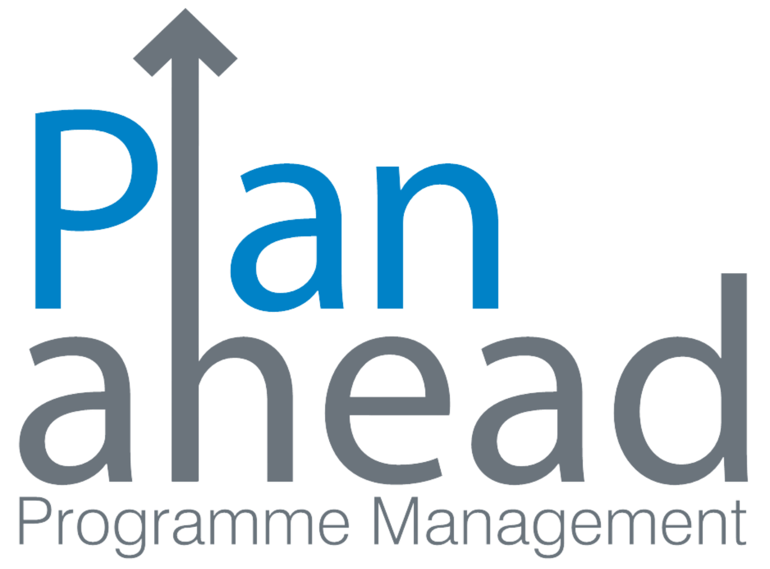 Plan Ahead - Plan Ahead Programme Management Plan Ahead - Plan Ahead Programme Management