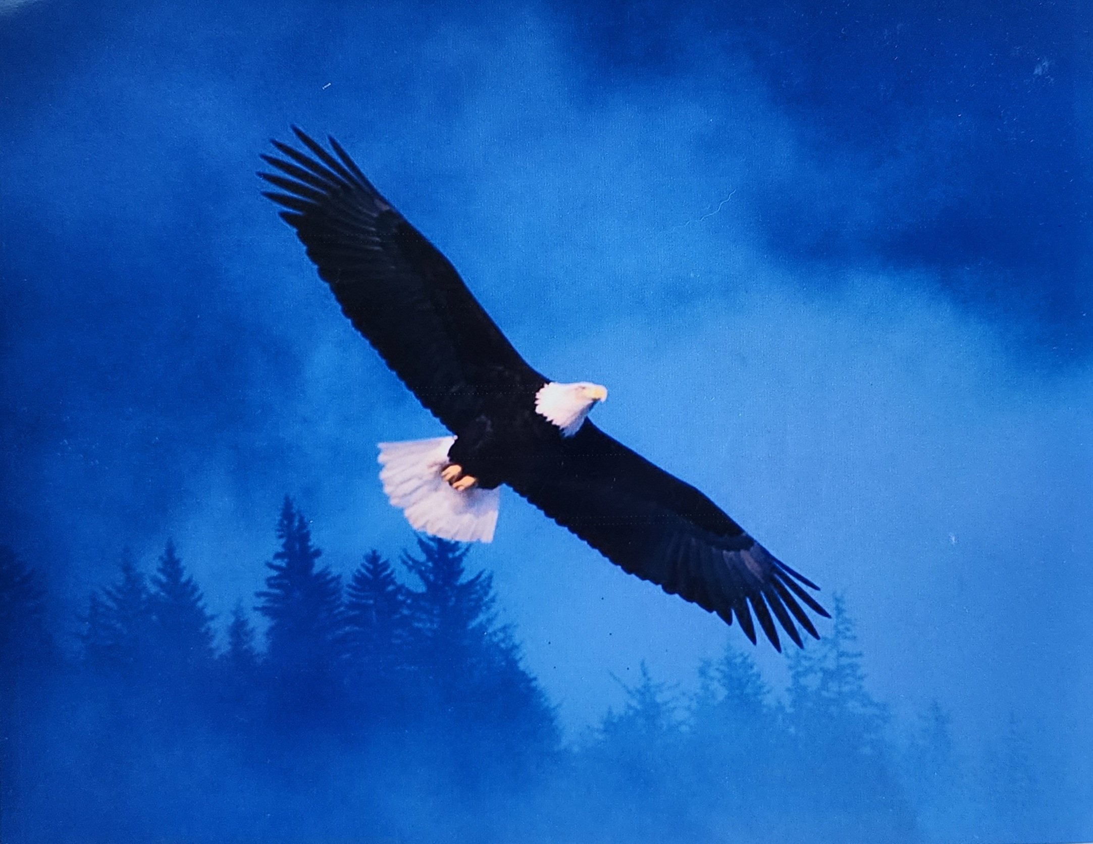 About — Blue Eagle Construction