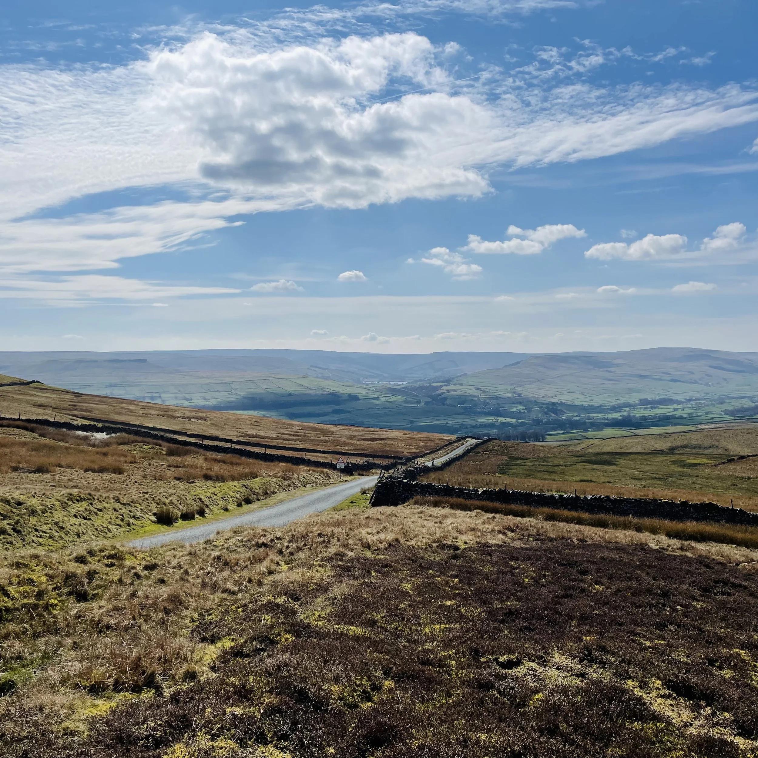 Contact — Jonas Centre