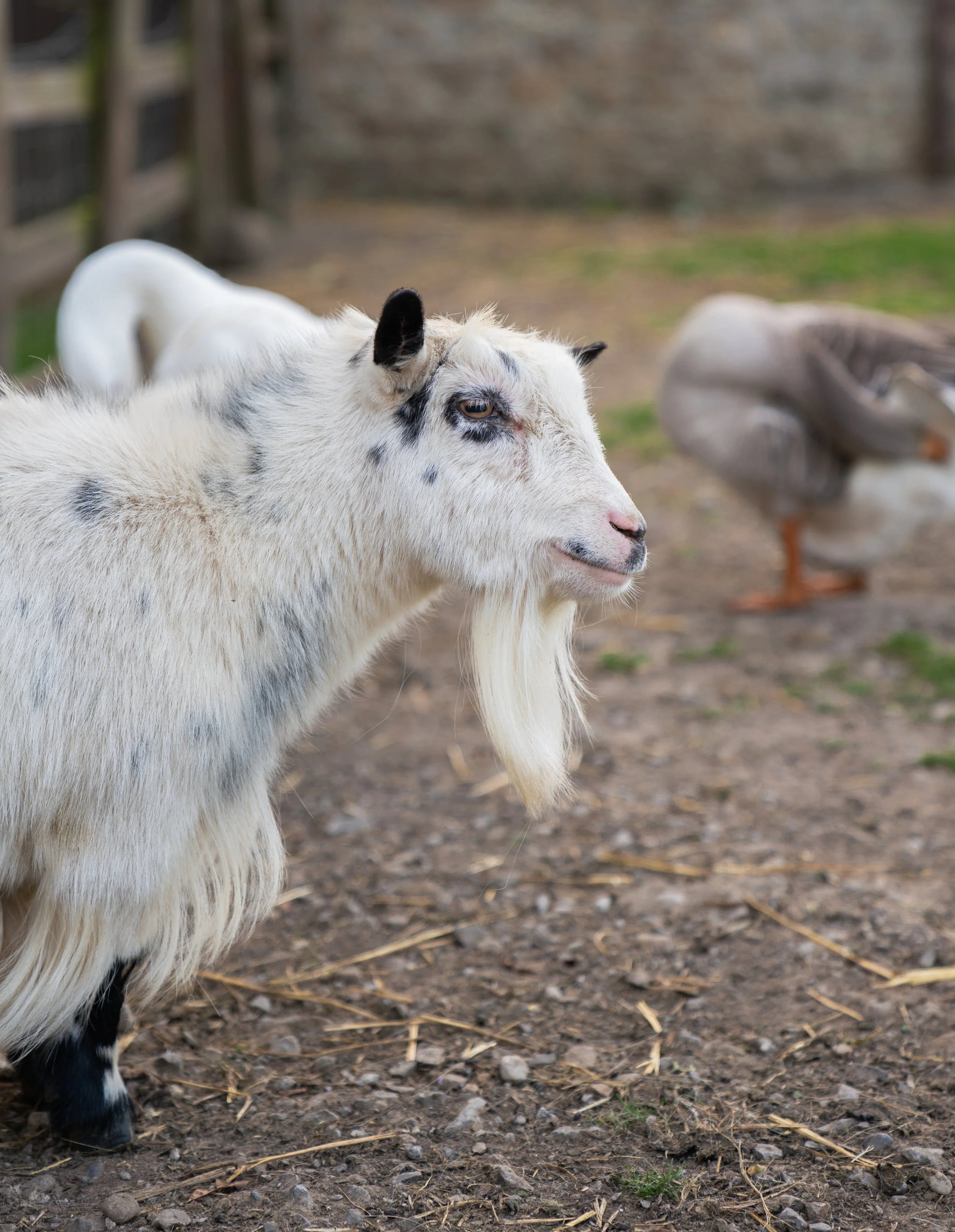 Gallery — Jonas Centre