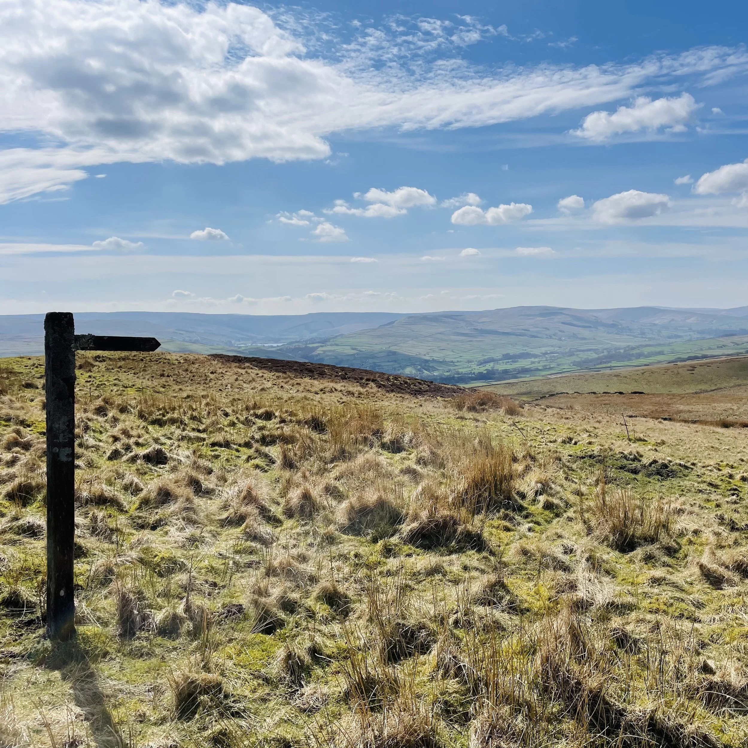 Contact — Jonas Centre