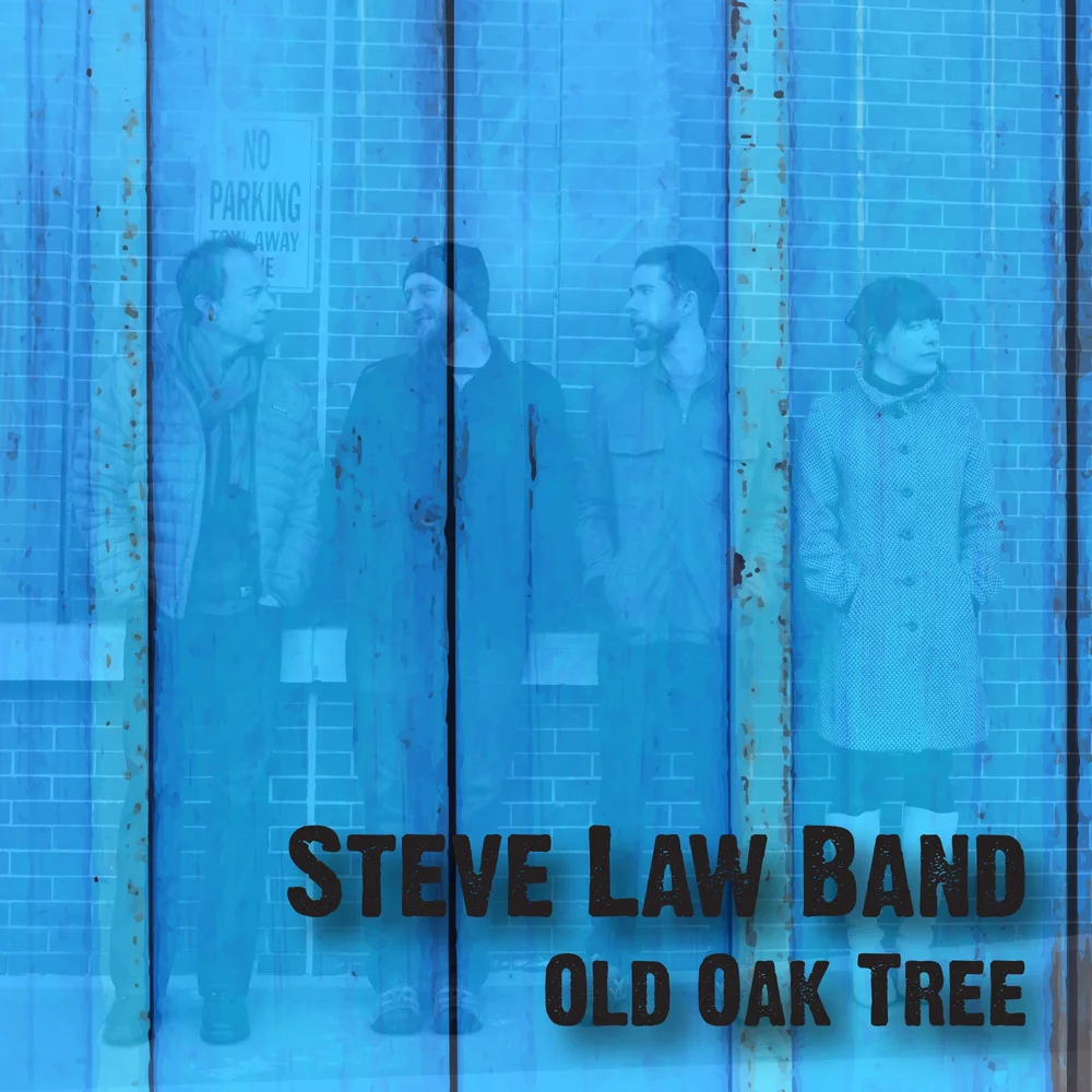 Stream Steve Law Band 2013 — Steve Law Band