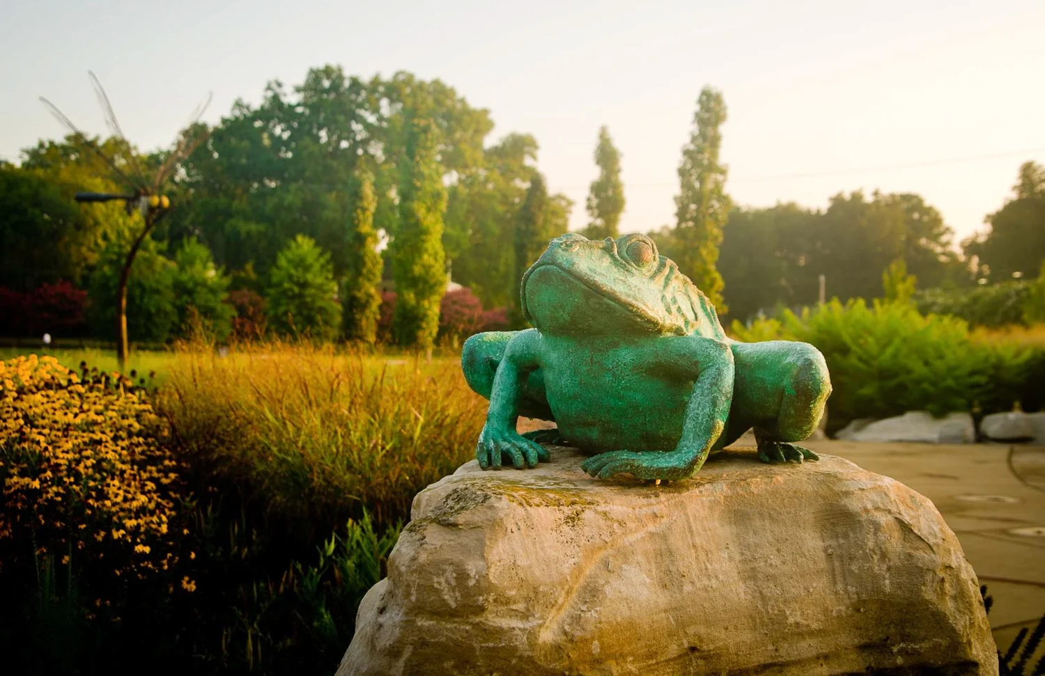 Delano Park — Page Landscape