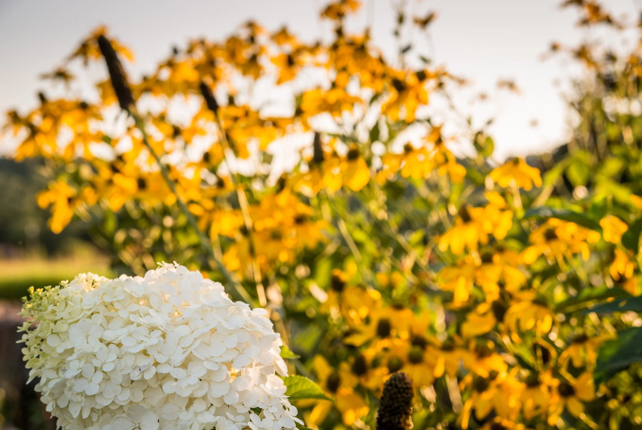 Brookside Farm — Page Landscape