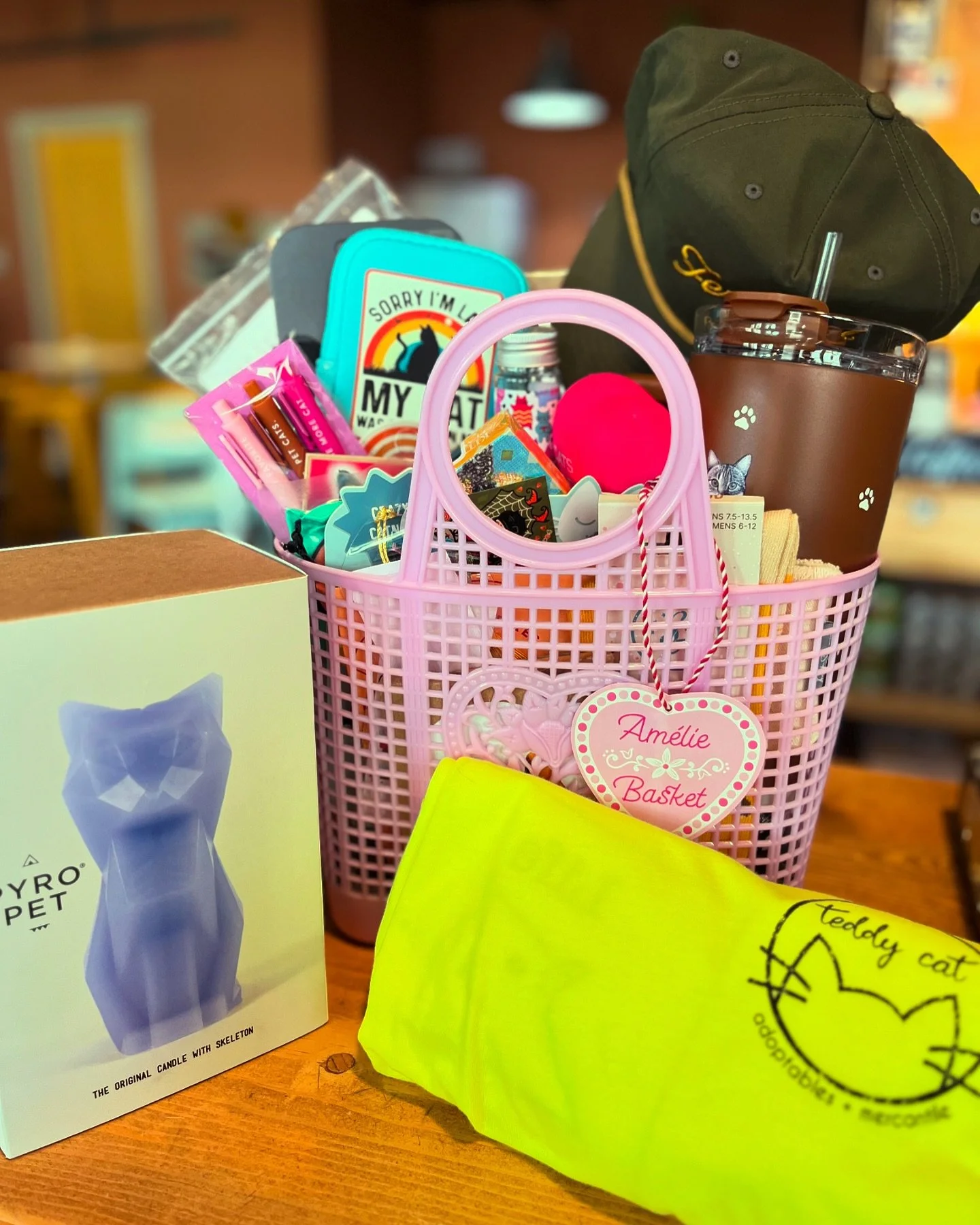 Teddy Cat Cafe | Denver