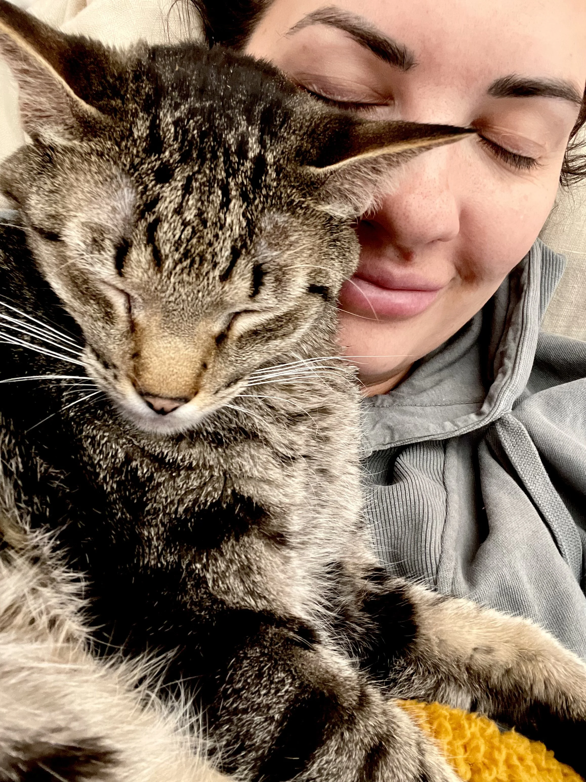 Our Story — Teddy Cat