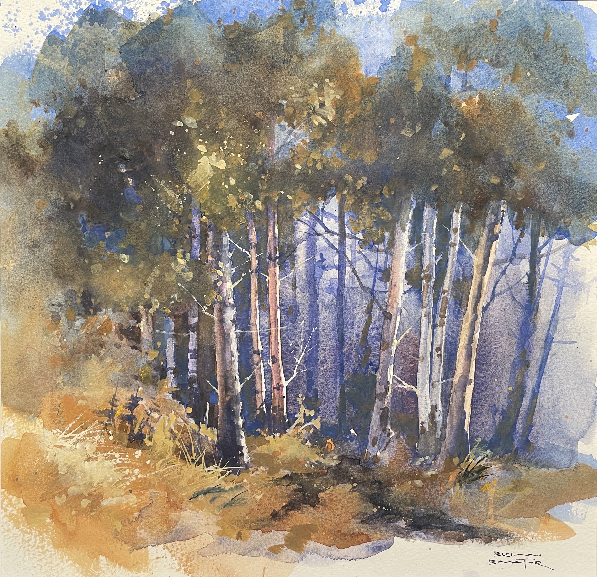 Paintings for Sale — Brian Baxter Artist