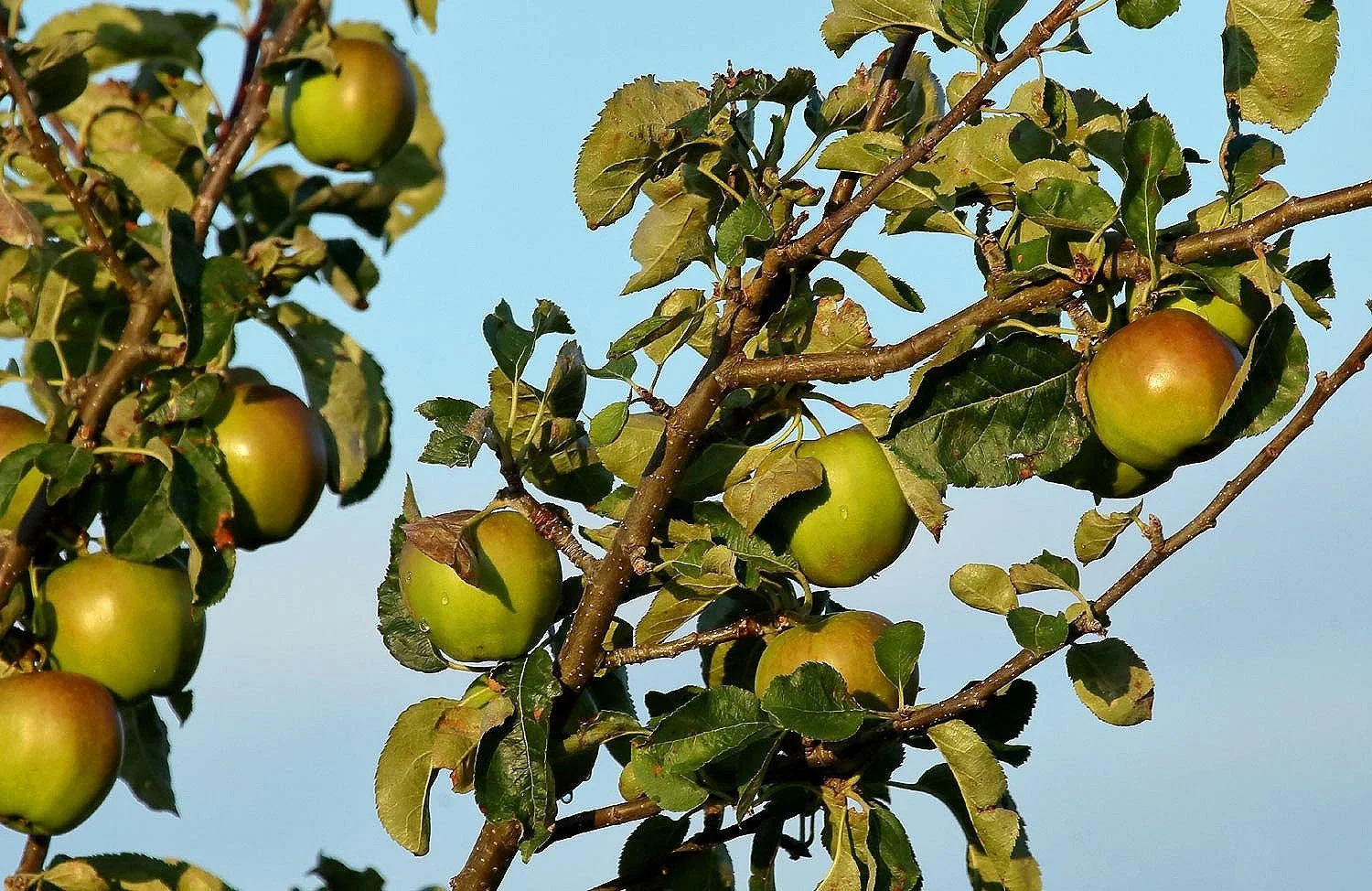 Landscape-Harry Slater Photography — Harry Slater Photography ...