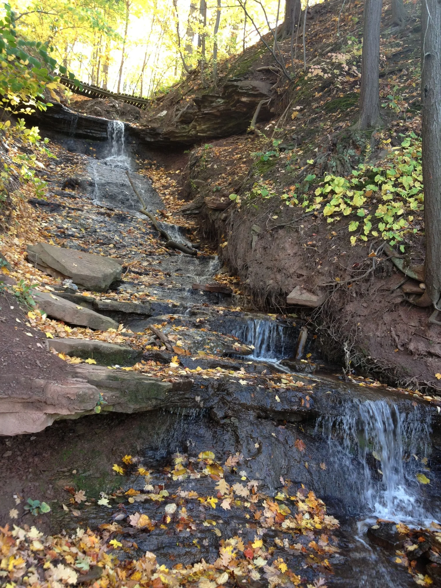 Seneca Park — Olmsted Parks Alliance | Rochester New York