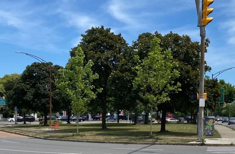 Anderson Park — Olmsted Parks Alliance | Rochester New York