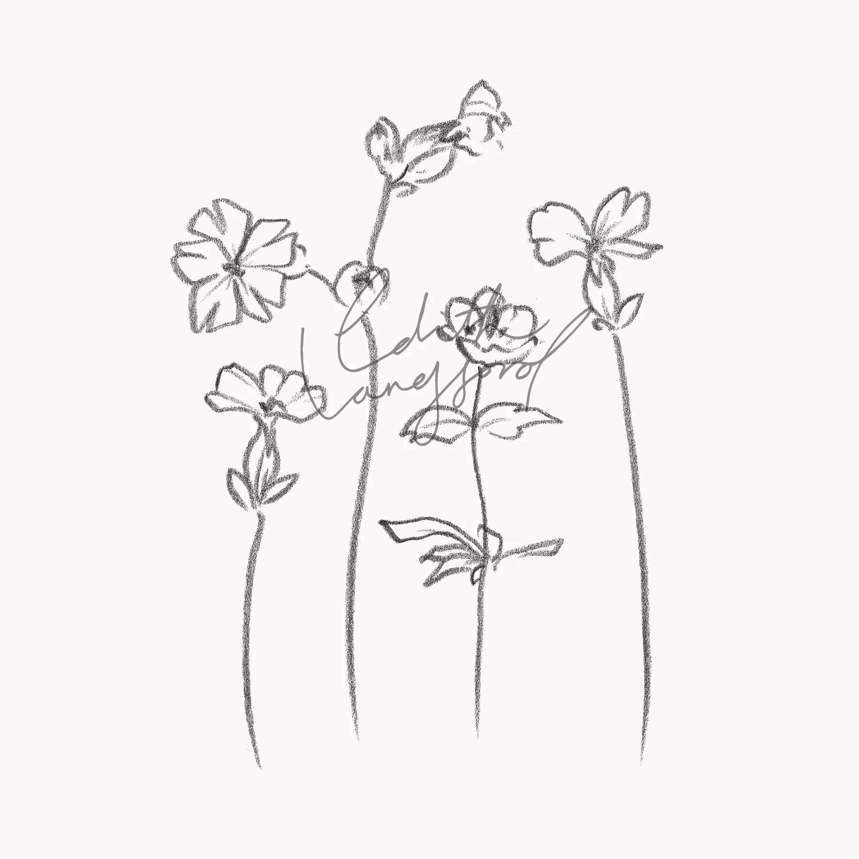 Shop — Edith Langford Art