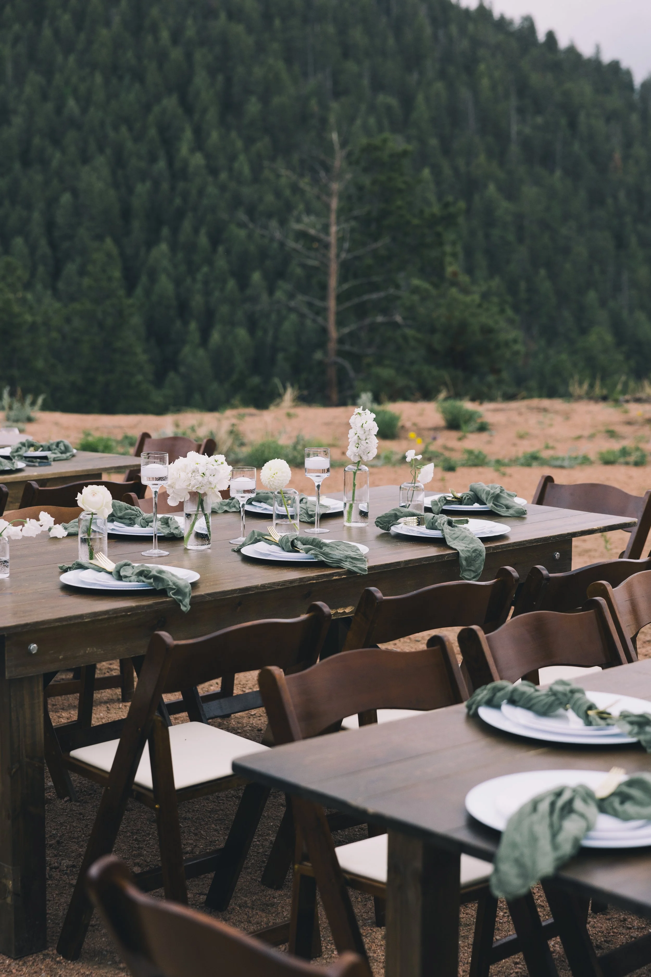 Carolyn & Michael — Wild Social | Micro Wedding Planners