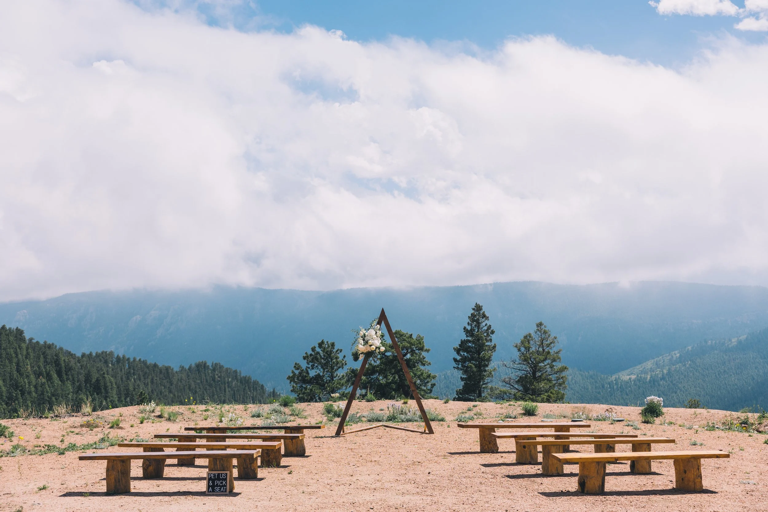 Carolyn & Michael — Wild Social | Micro Wedding Planners