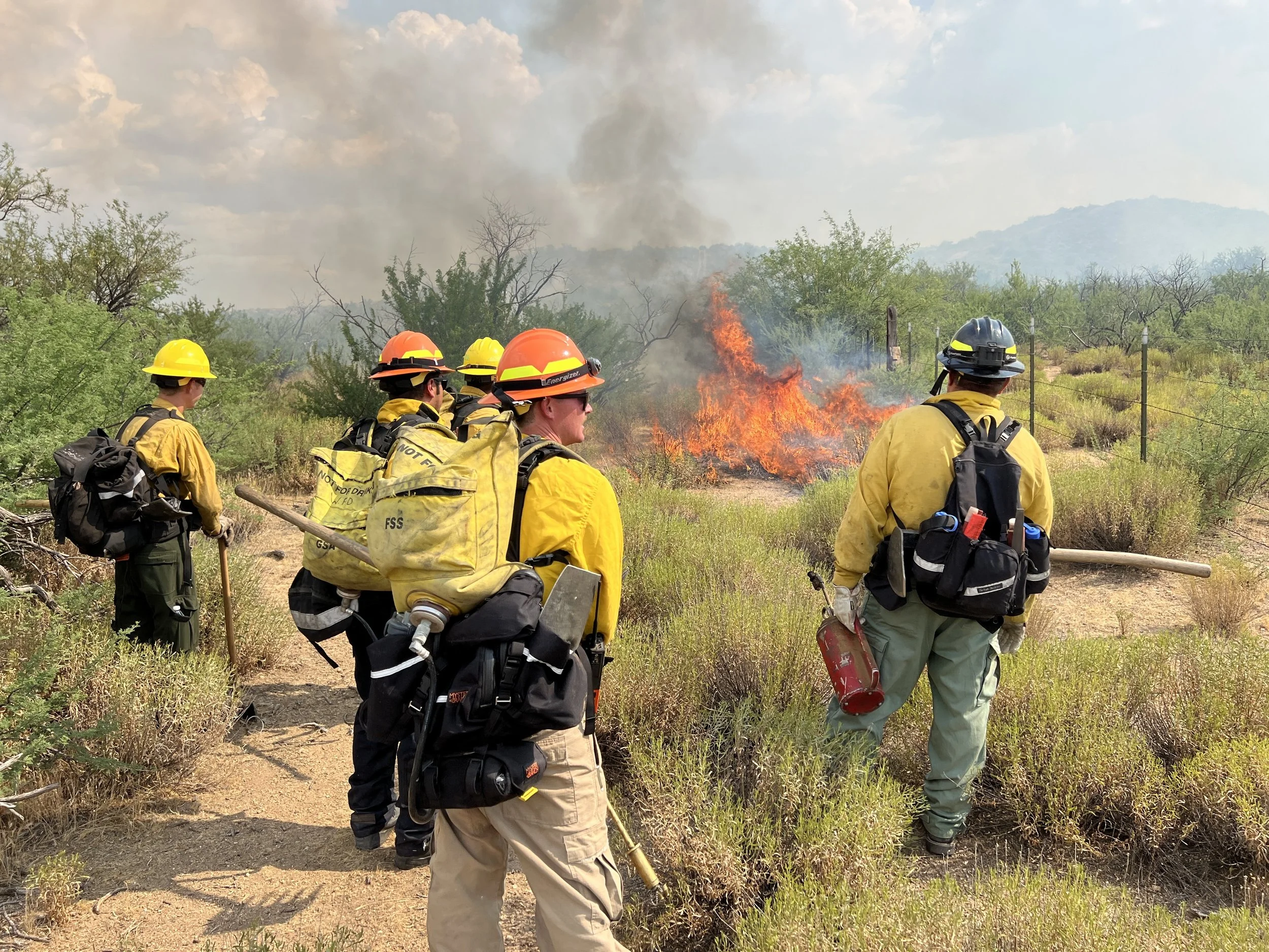 S-219 — Arizona Wildfire and Incident Management Academy