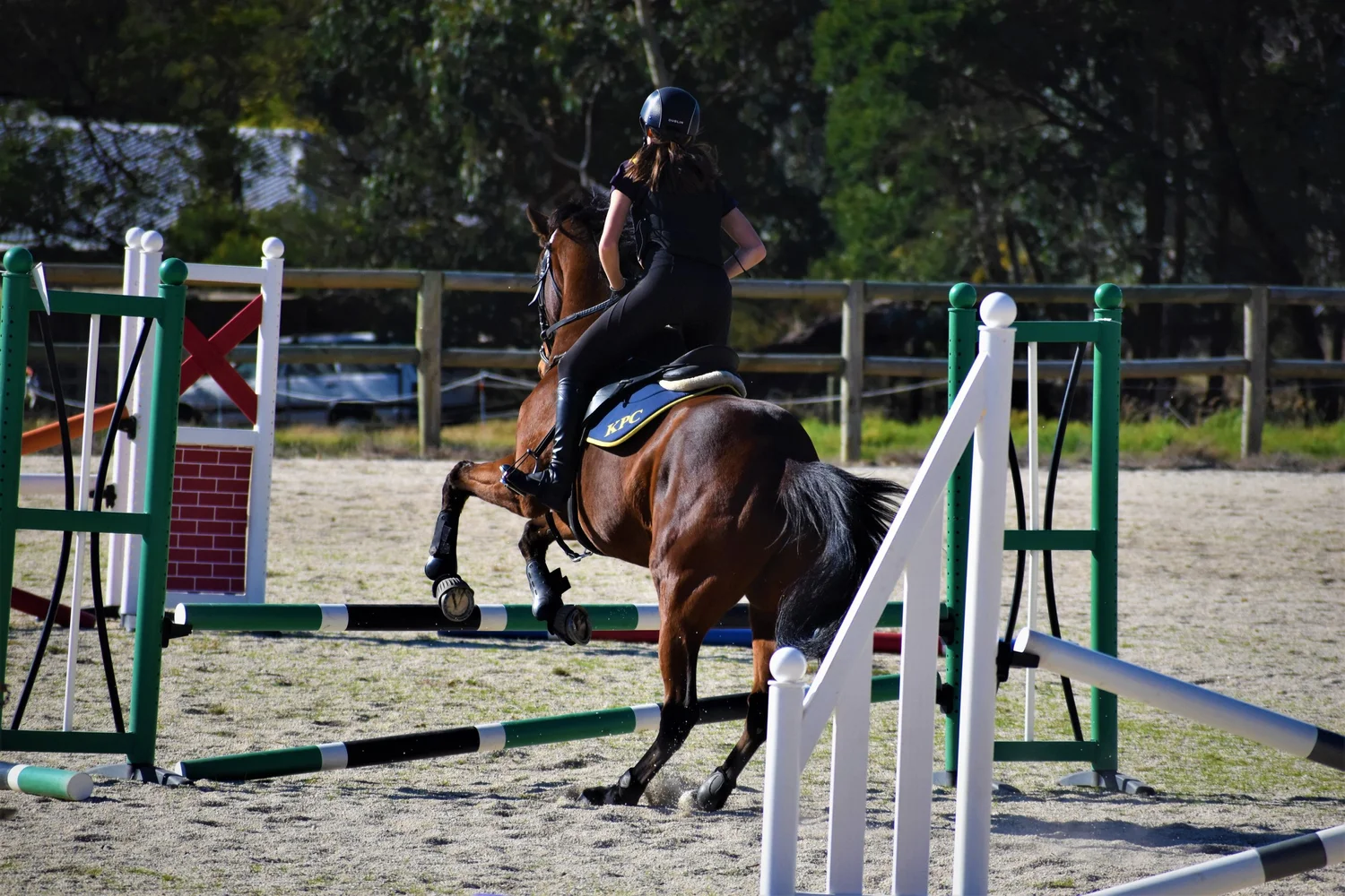 Calendar — Kyneton Pony Club