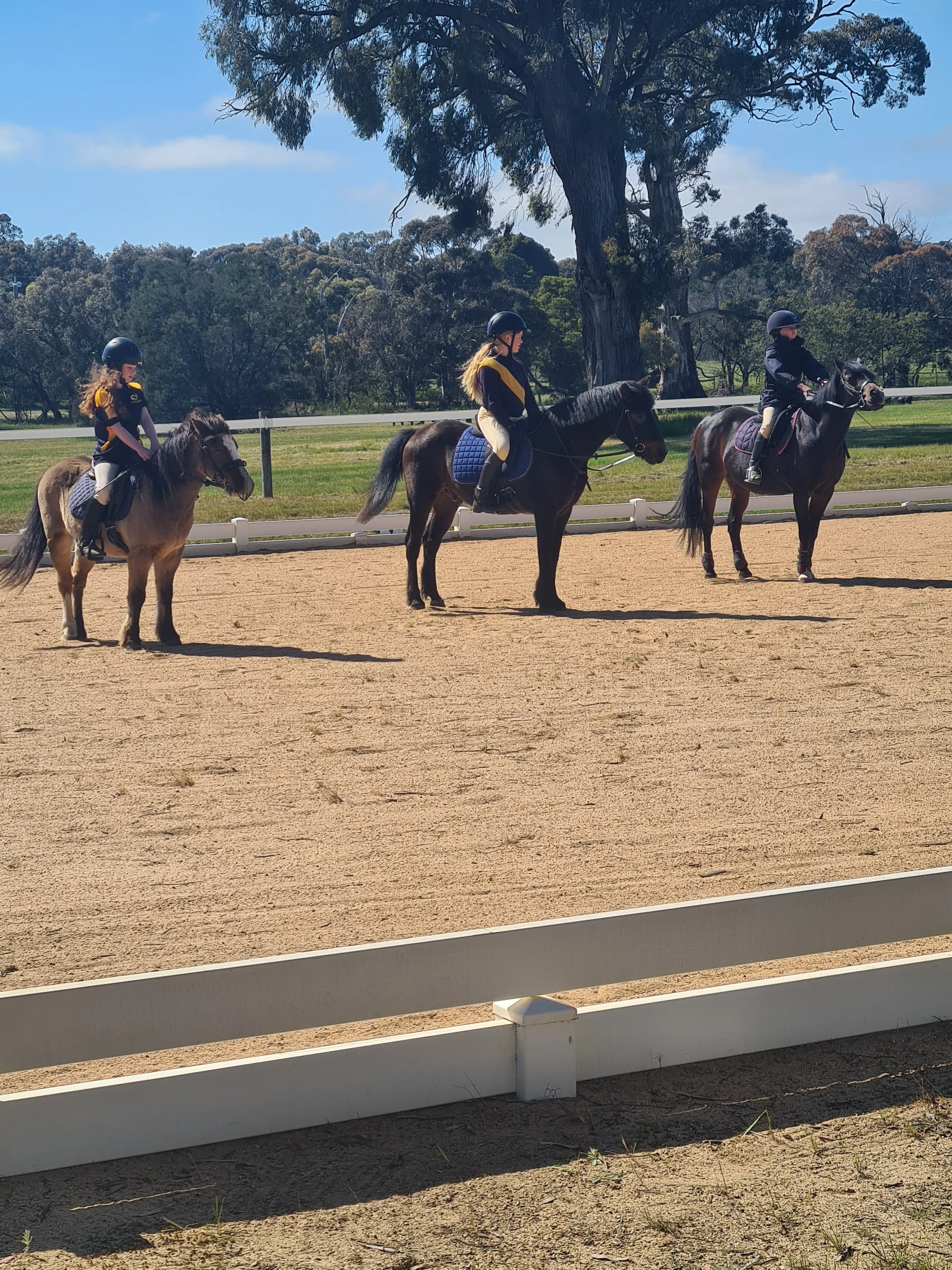 Rally Days — Kyneton Pony Club