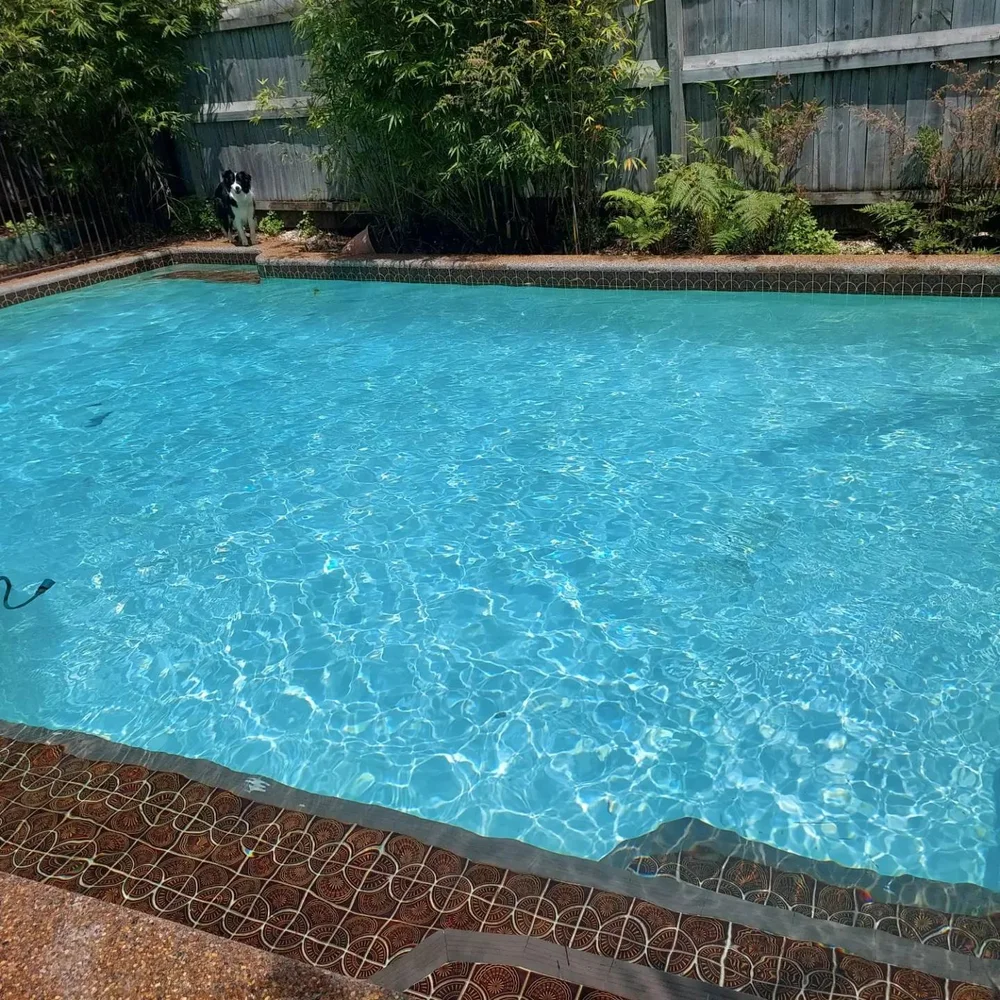 Positive Pool Servicing Gallery: Pool Inspiration for Sydney