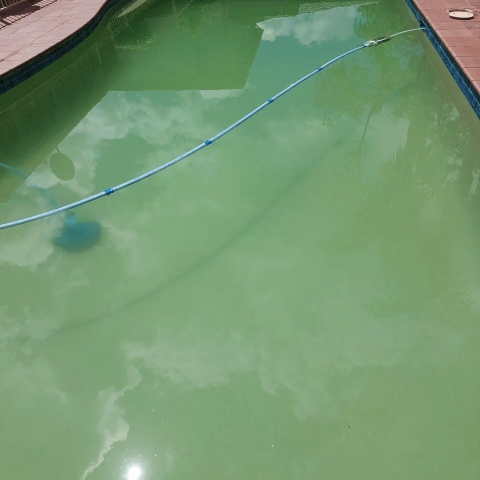 Green Pool Service — Positive Pool Servicing